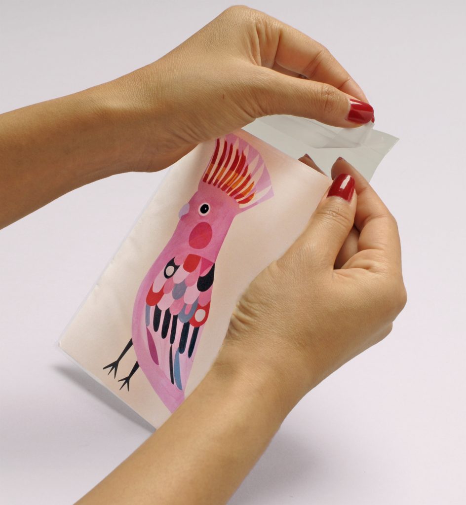 Strip Seal PP Bags - Venus Packaging